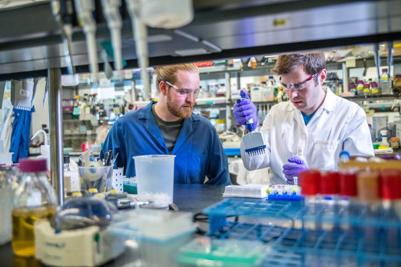 Highly Skilled Professional Visa in Japan: Key Benefits, Requirements ...