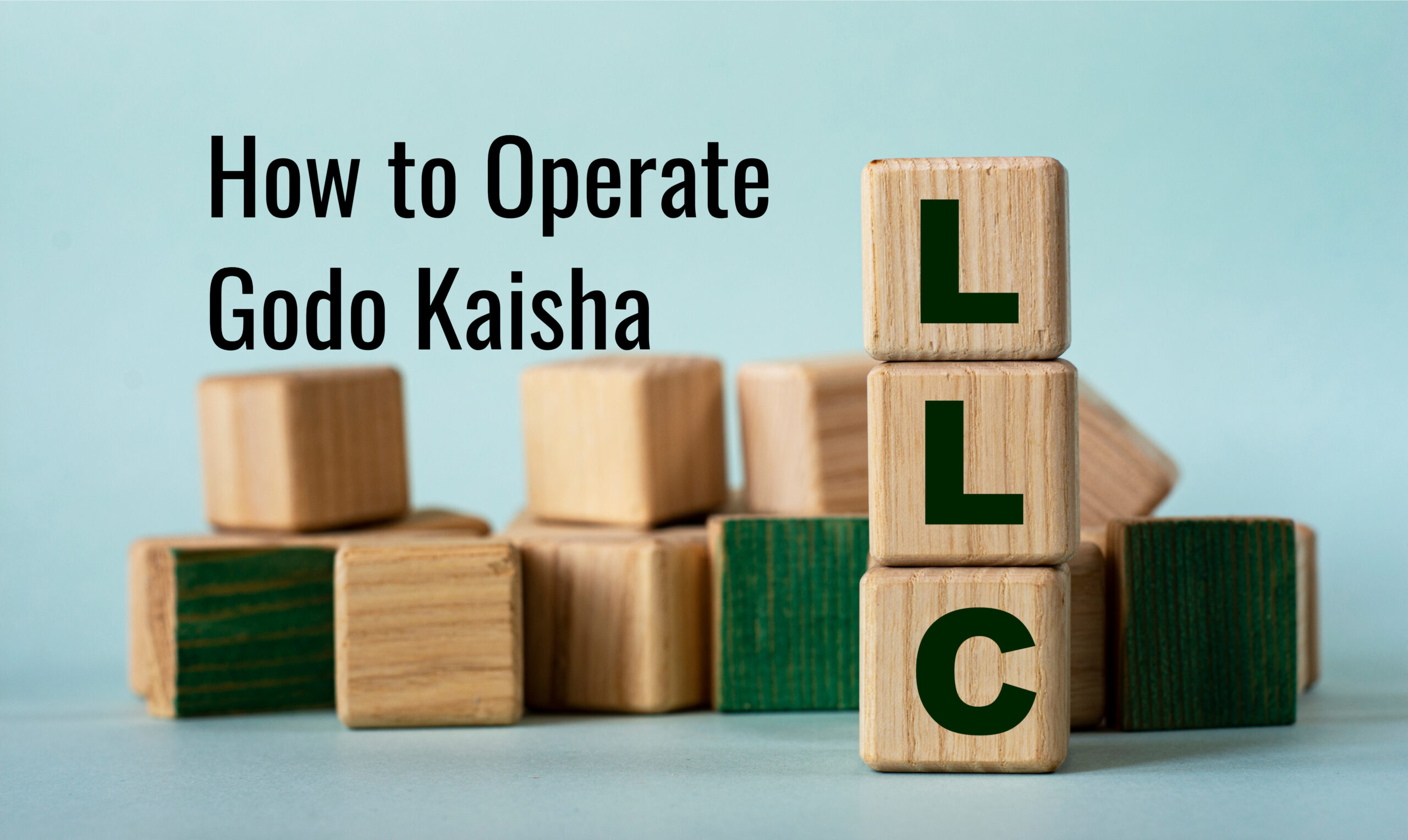 How to Operate Godo Kaisha (Limited Liability Company) in Japan ...